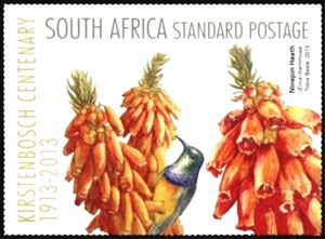 Stamp: Ninepin Heath (Erica mammosa) (South Africa(Centenary of the ...