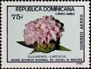 Stamp: Elleanthus capitatus (Dominican Republic) (Orchids) Mi:DO 1326 ...