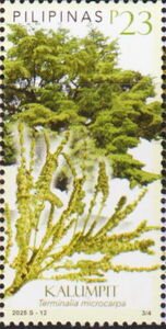 Stamp: Kalumpit (Terminalia microcarpa) (Philippines(Philippine Native ...