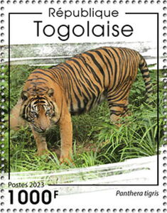 Stamp: Panthera tigris (Togo(Tigers (2023)) Yt:TG 10528 📮