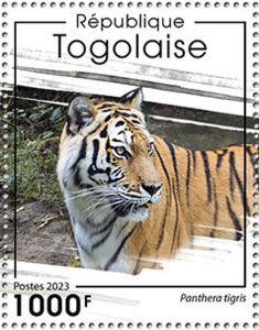 Stamp: Panthera tigris (Togo(Tigers (2023)) Yt:TG 10530 📮