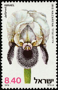 Stamp: Nazareth Iris (Iris Nazerena) (Israel(Protected Wild Flowers ...
