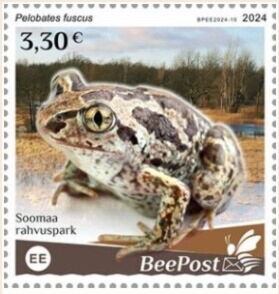 Stamp: Soomaa National Park Common Spadefoot Toad(Pelobates fuscus ...