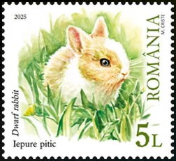 Stamp: Dwarf Rabbit (Oryctolagus cuniculus) (Romania(Rabbits (2025 ...