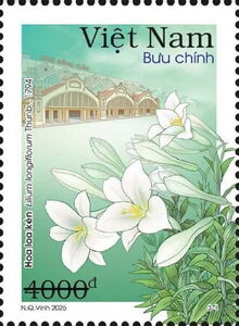 Sello: Easter Lily (Lilium longiflorum) (Vietnam(Floral Seasons of ...