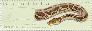 Sello: Anchieta's Dwarf Python (Python anchietae) (Namibia(Pythons of Namibia (2025)) Col:NA ...