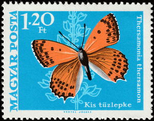 Stamp: Lesser Fiery Copper (Thersamonia thersamon) (Hungary(Butterflies ...