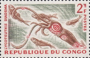 Timbre: Crowned Firefly Squid (Lycoteuthis lorigera) (Congo, République ...