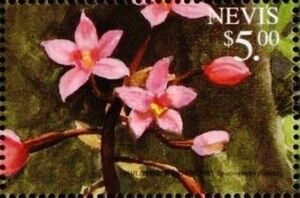 Sello: Philippine Wind Orchid (Spathoglottis plicata) (Nevis(Orchids ...