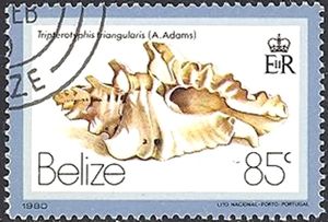 Stamp: Triangular Typhis (Tripterotyplis triangularis) (Belize(Shells ...