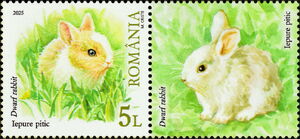 Stamp: Dwarf Rabbit (Oryctolagus cuniculus) (Romania(Rabbits) Rom:RO ...