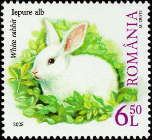 Stamp: White Rabbit (Oryctolagus cuniculus) (Romania(Rabbits) Rom:RO ...