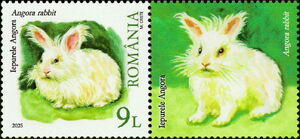 Stamp: Angora Rabbit (Oryctolagus cuniculus) (Romania(Rabbits) Rom:RO ...
