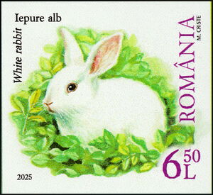 Stamp: White Rabbit (Oryctolagus cuniculus) (Romania(Rabbits) Rom:RO ...