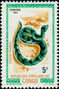 Stamp: Green Night Adder (Causus resimus) (Congo, Republic (Brazzaville ...