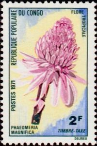 Stamp: Phaeomeria magnifica (Congo, Republic (Brazzaville)(Tropic ...