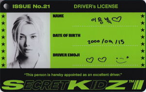 K-Pop Merch Item: DICON Vol.21 "Stay Cool" driver’s license keyring ID ...