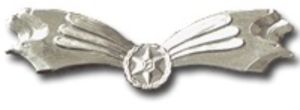 Decoration: Yasam (Israel(Border Guards Badges) Col:IL-000519