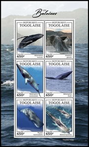 Timbre: Whales (Togo(Whales (2025)) Col:TG 2025.04.01-119 📮