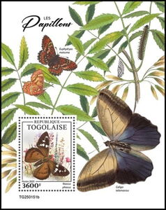 Znaczek: Nascus phocus (Togo(Butterflies (2025)) Col:TG 2025.04.01-142 📮