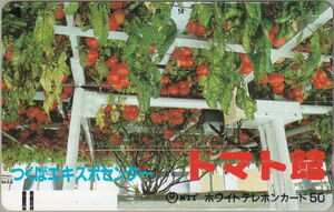 Carte téléphonique: Tomato - BAR CODE (NTT, Japon(110-011-Food) Col:JP ...