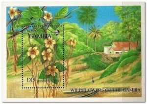 Stamp: Yellow Trumpet (Costus spectabillis) (Gambia(Flowers (1987)) Mi ...