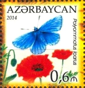 Stamp: Common Blue (Polyommatus icarus), Corn Poppy (Azerbaijan(Butterflies (2014)) Mi:AZ 1066A ...