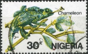 Stamp: Common Chameleon (Chamaeleo chamaeleon) (Nigeria(Fauna) Mi:NG ...