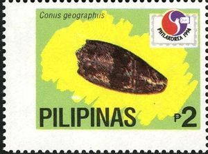 Stamp: Geographer Cone (Conus geographus) (Philippines(Philakorea 94 ...