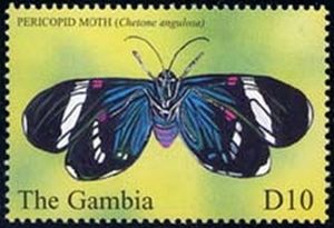 Stamp: Pericopid Moth (Chetone angulosa) (Gambia(Moths of the World ...