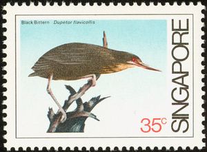 Stamp: Black Bittern (Dupetor flavicollis) (Singapore(Coastal Birds) Mi ...