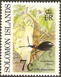 Stamp: Sweetpotato Weevil (Cylas formicarius) (Solomon Islands) (Crop ...