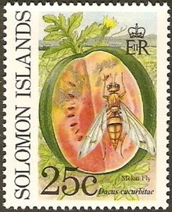 Stamp: Melon Fly (Dacus cucurbitae) (Solomon Islands(Crop Pests) Mi:SB ...