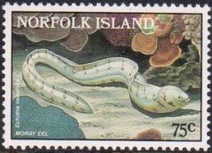 Stamp: Starry Moray Eel (Echidna nebulosa) (Norfolk Island(Marine Life ...