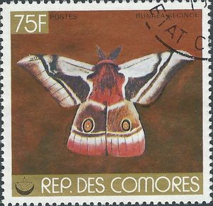 Stamp: Cabbage Tree Emperor Moth (Bunaea alcinoe) (Comoros(Butterflies ...