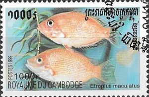 Stamp: Orange Chromide (Etroplus maculatus) (Cambodia(Fish (1999)) Mi ...