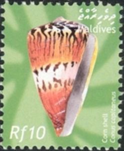 Stamp: Captain Cone (Conus capitaneus) (Maldives(Shells of Maldives) Mi ...