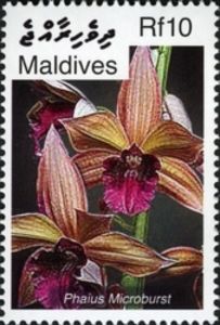 Stamp: Phaius Microburst (Maldives(Beautiful Orchids of Asia) Mi:MV ...