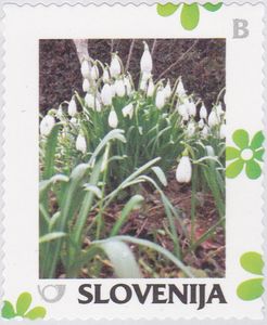 Stamp: Spring: Snowdrops (Slovenia(Personalised postage stamps) Mi:SI ...