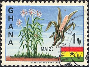 Stamp: Maize (Zea mays) (Ghana(Definitives 1967-1969) Mi:GH 297,Sn:GH ...