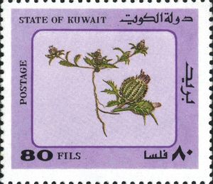Stamp: Desert Plants (Kuwait(Desert Plants) Mi:KW 985,Sn:KW 907a,Yt:KW ...