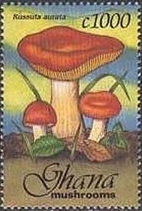 Stamp: Russula Aurata (Ghana(Mushrooms (1993)) Mi:GH 1868,Sn:GH 1593,Sg ...