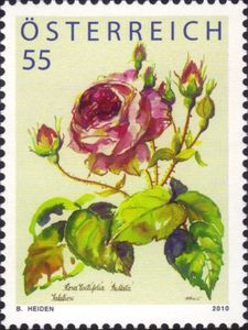 Stamp: Rose “Centifolia bullata” (Austria) (Loyalty Bonus Stamps) Mi:AT ...
