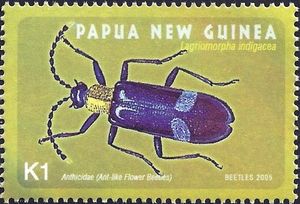 Stamp: Ant-like Flower Beetle (Lagrimorpha indigacea) (Papua New Guinea ...
