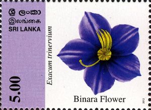 Stamp: Binara Flower (Exacum trinervium) (Sri Lanka(Flowers) Mi:LK 1915 ...