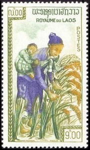 Stamp: Harvesting Rice (Laos) (Freedom From Hunger Campaign) Mi:LA 131A ...