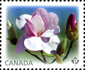 Stamp: Magnolia "Eskimo" (Canada(Magnolias) Mi:CA 2943,Sn:CA 2621b,Yt ...