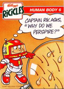 Meal Toy: Human Body #6 (Cereal Toys, United Kingdom of Great Britain ...