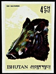 Stamp: Pygmy Hog (Sus salvanius) (Bhutan) (Native animals) Mi:BT 74B
