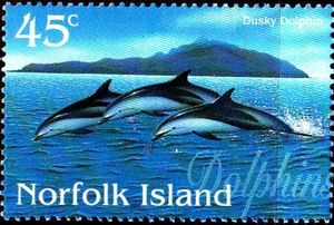 Stamp: Dusky Dolphin (Sagmatias obscurus) (Norfolk Island(Norfolk ...